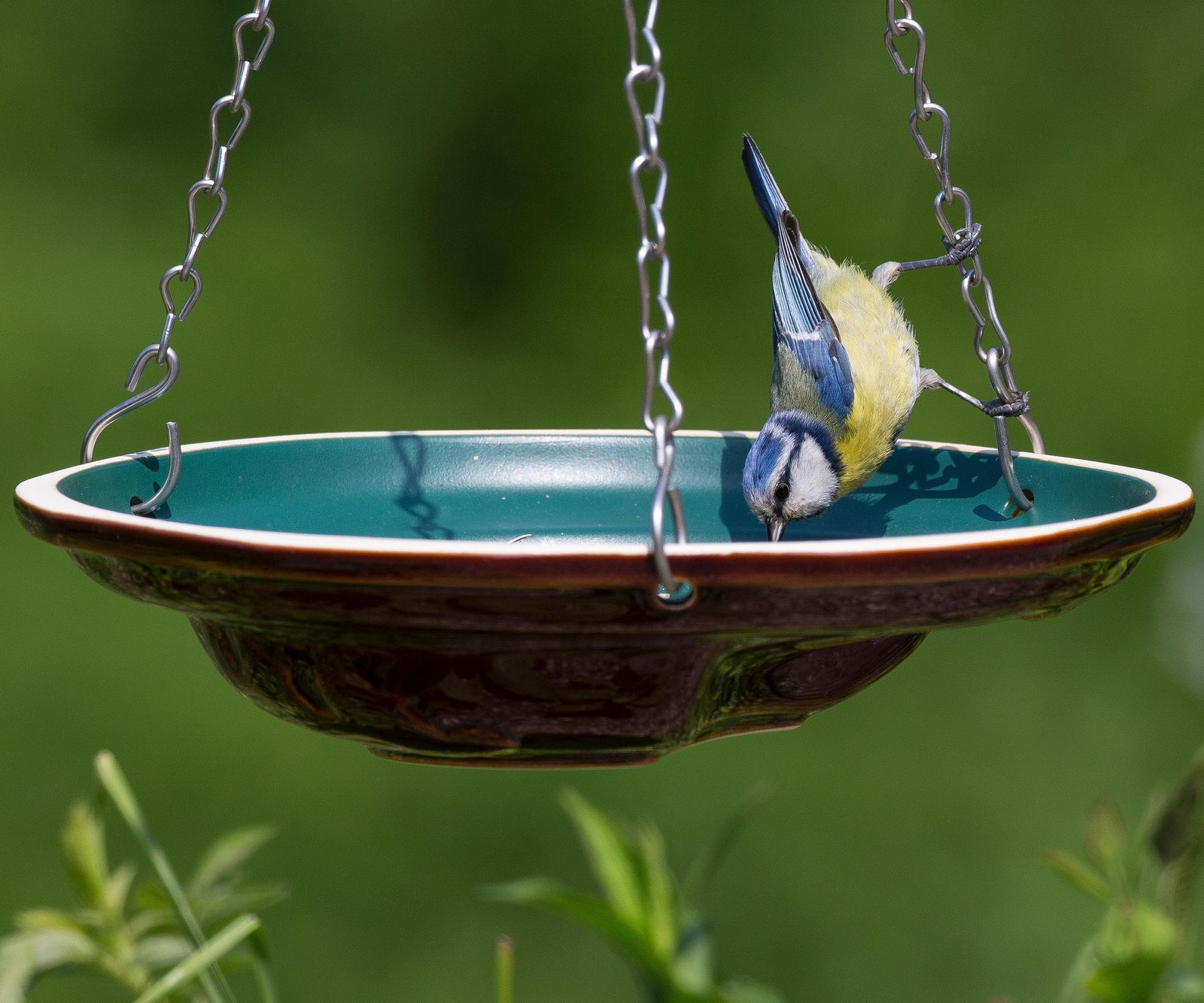 How to make a bird bath in a few simple steps | Homes and Gardens