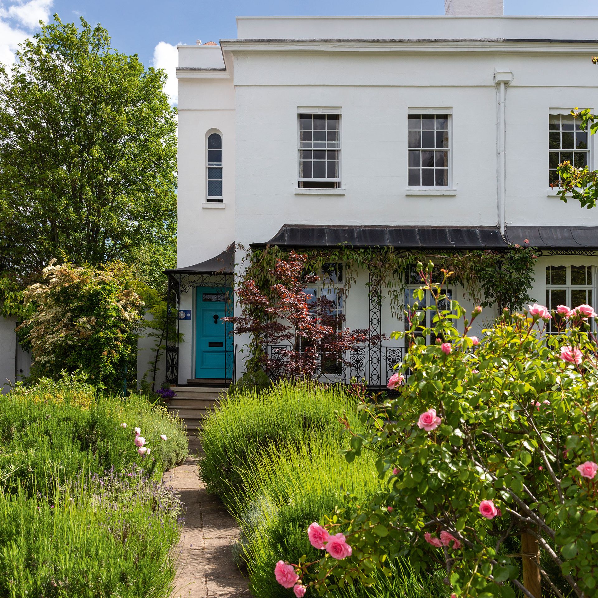 How to grow potted roses - expert advice to help them flourish | Ideal Home
