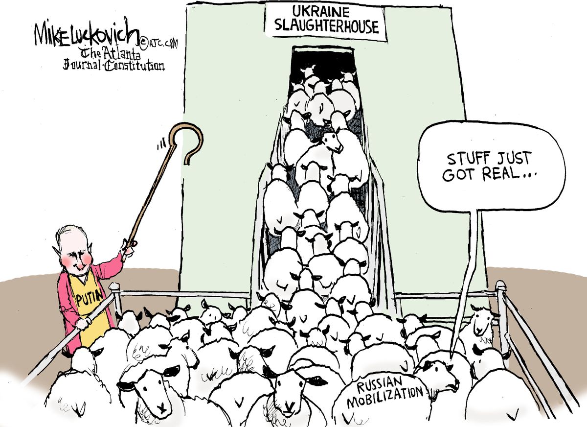 Lambs to the slaughter | The Week