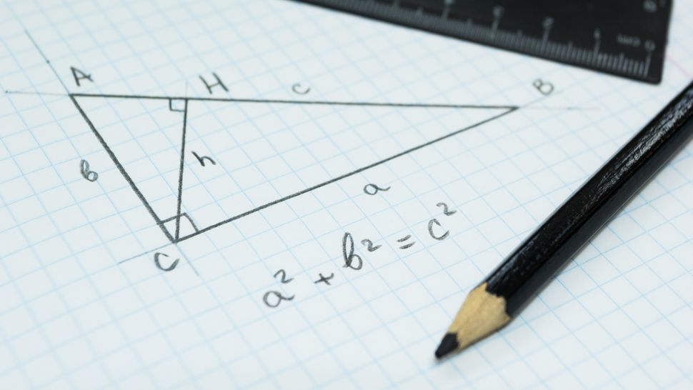 Albert Einstein facts: 32 fun and random things about the most famous ...