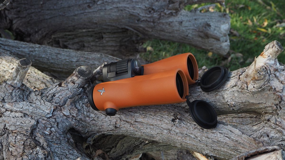 Swarovski NL Pure 10x42 binoculars review | Digital Camera World