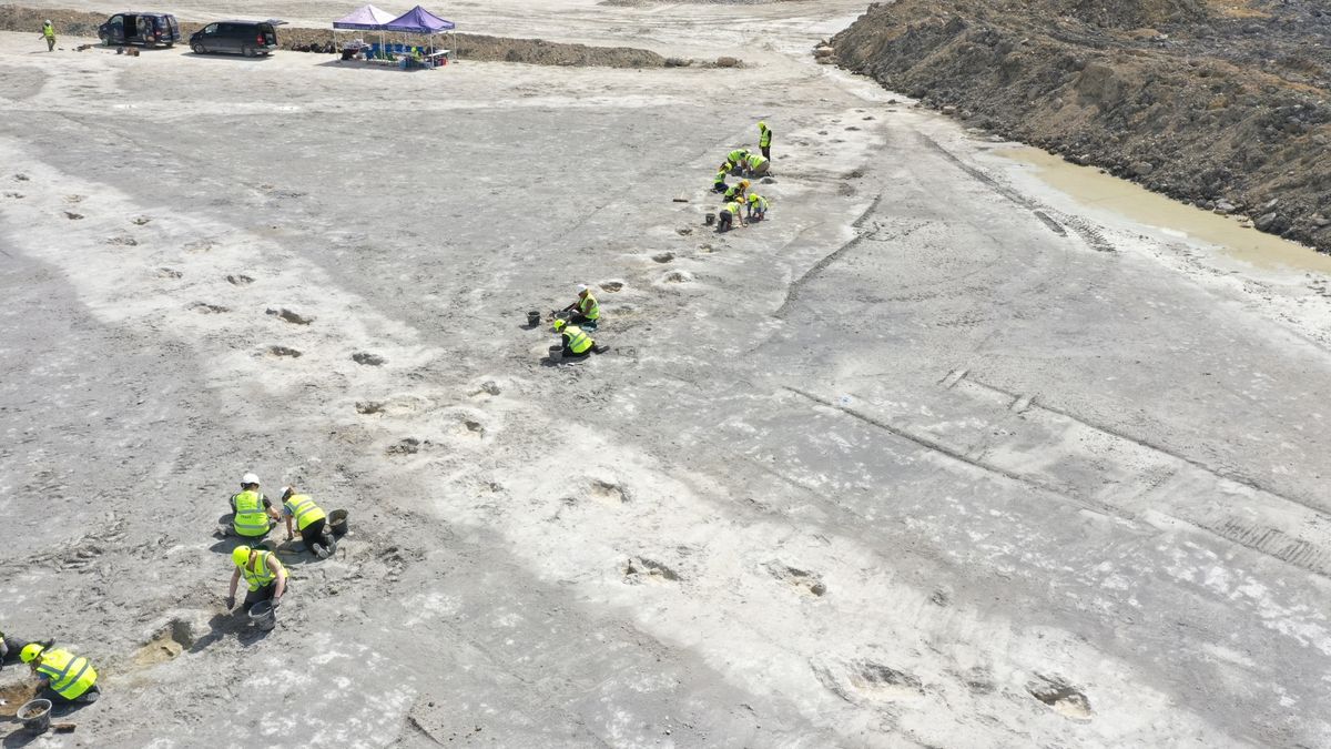 Weird bumps in UK quarry turn out to be 166 million-year-old dinosaur ...