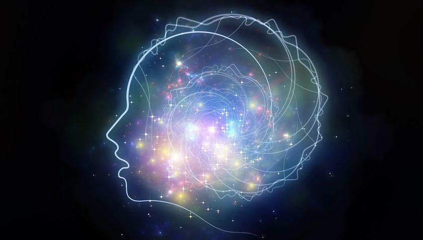 Human Behavior News Features And Articles Page 5 Live Science