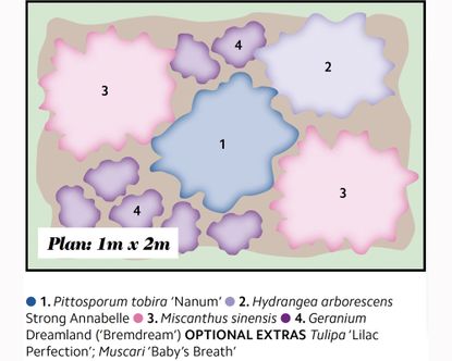 Garden border planting ideas: 6 stunning layouts to try | Gardeningetc