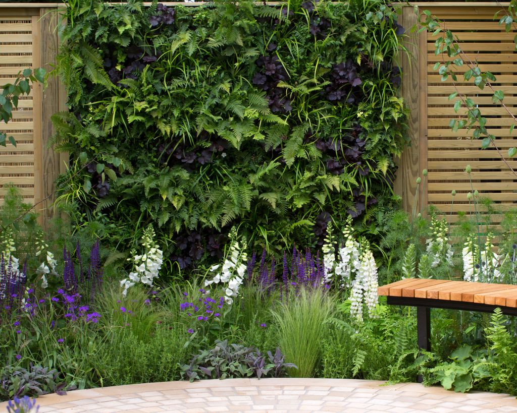 How to grow ferns: when and how to plant and care for them | Homes and ...