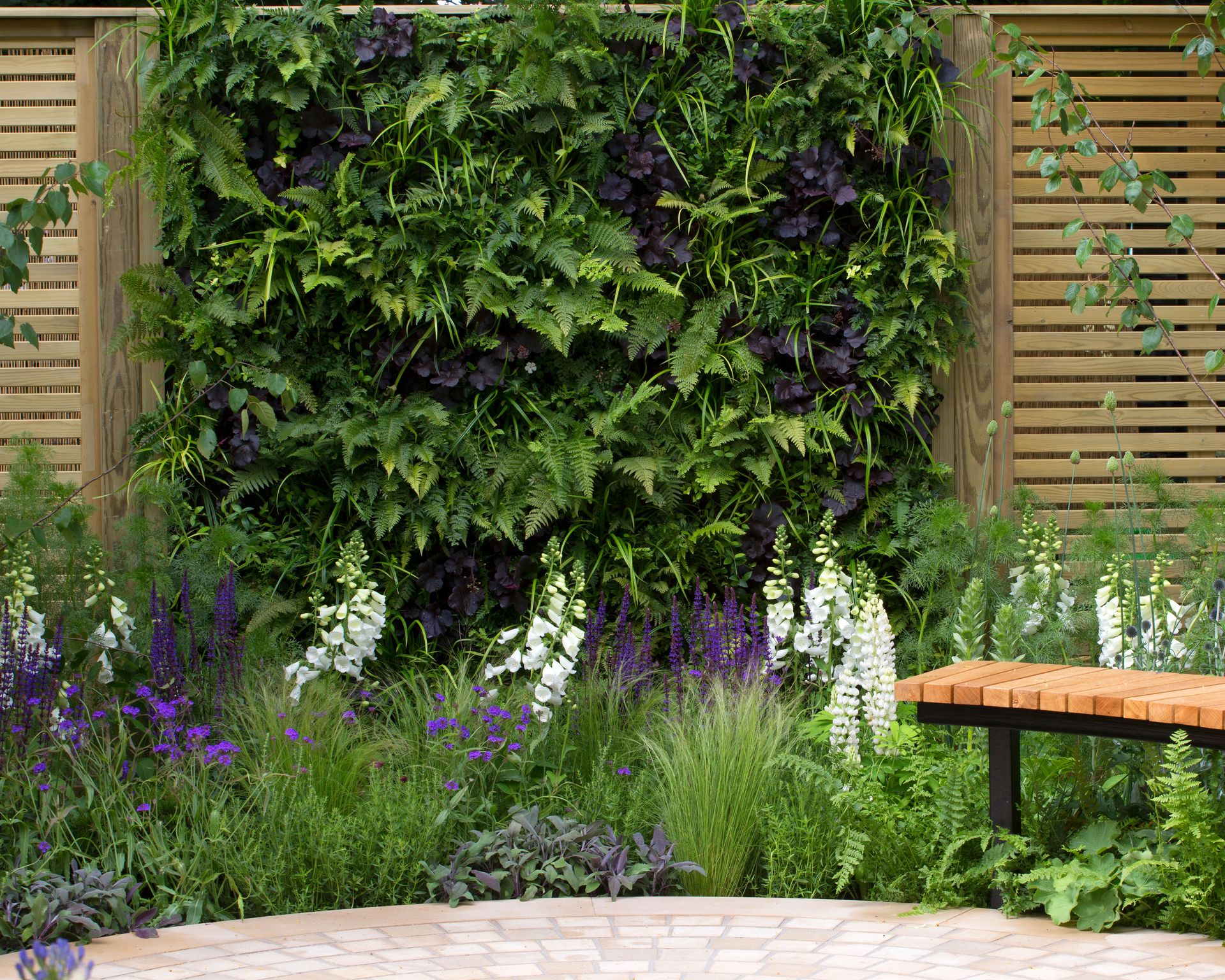 How to grow ferns: when and how to plant and care for them | Homes and ...