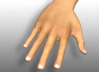 30 free 3D models | Creative Bloq