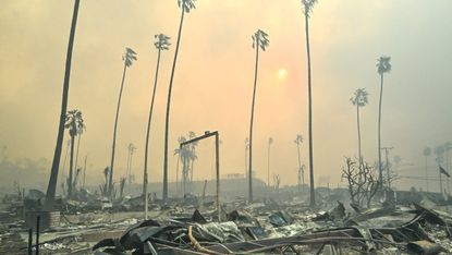 How to Help Survivors of Natural Disasters | Marie Claire