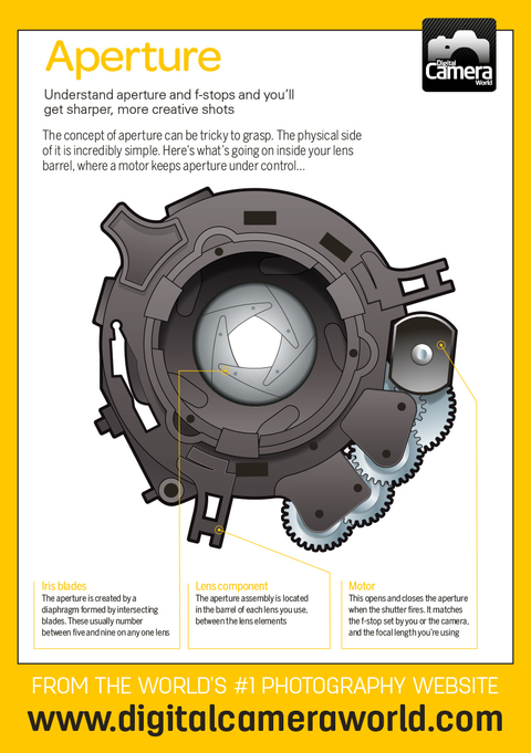 What is aperture in photography? The "f-number" is actually key to ...