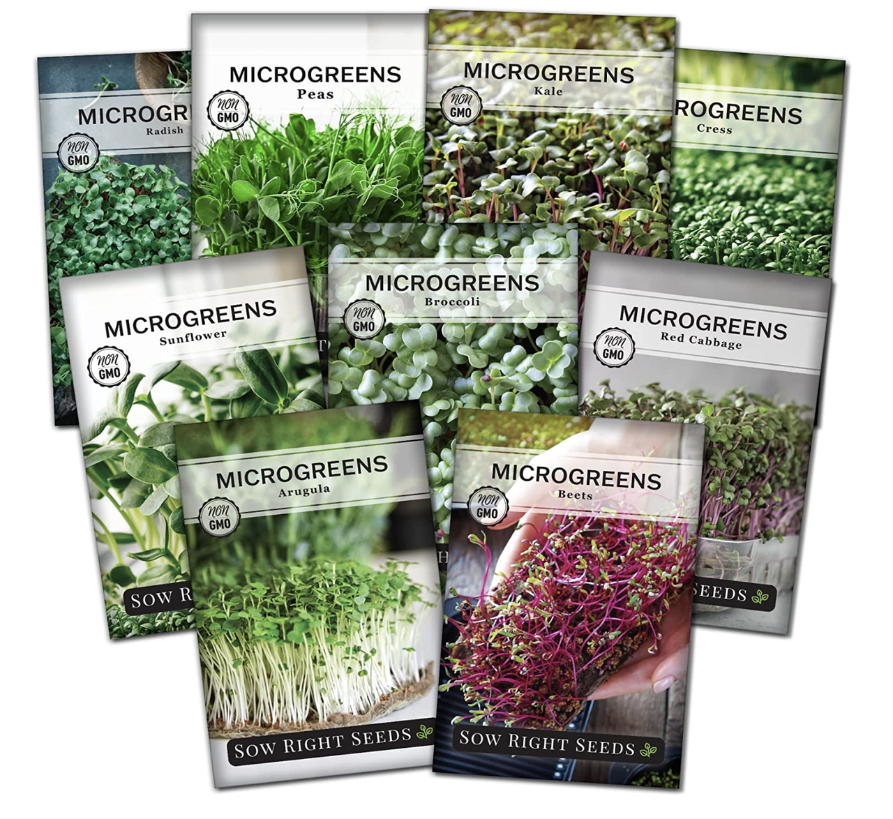 Apartment gardening for beginners - all you need to know to grow ...