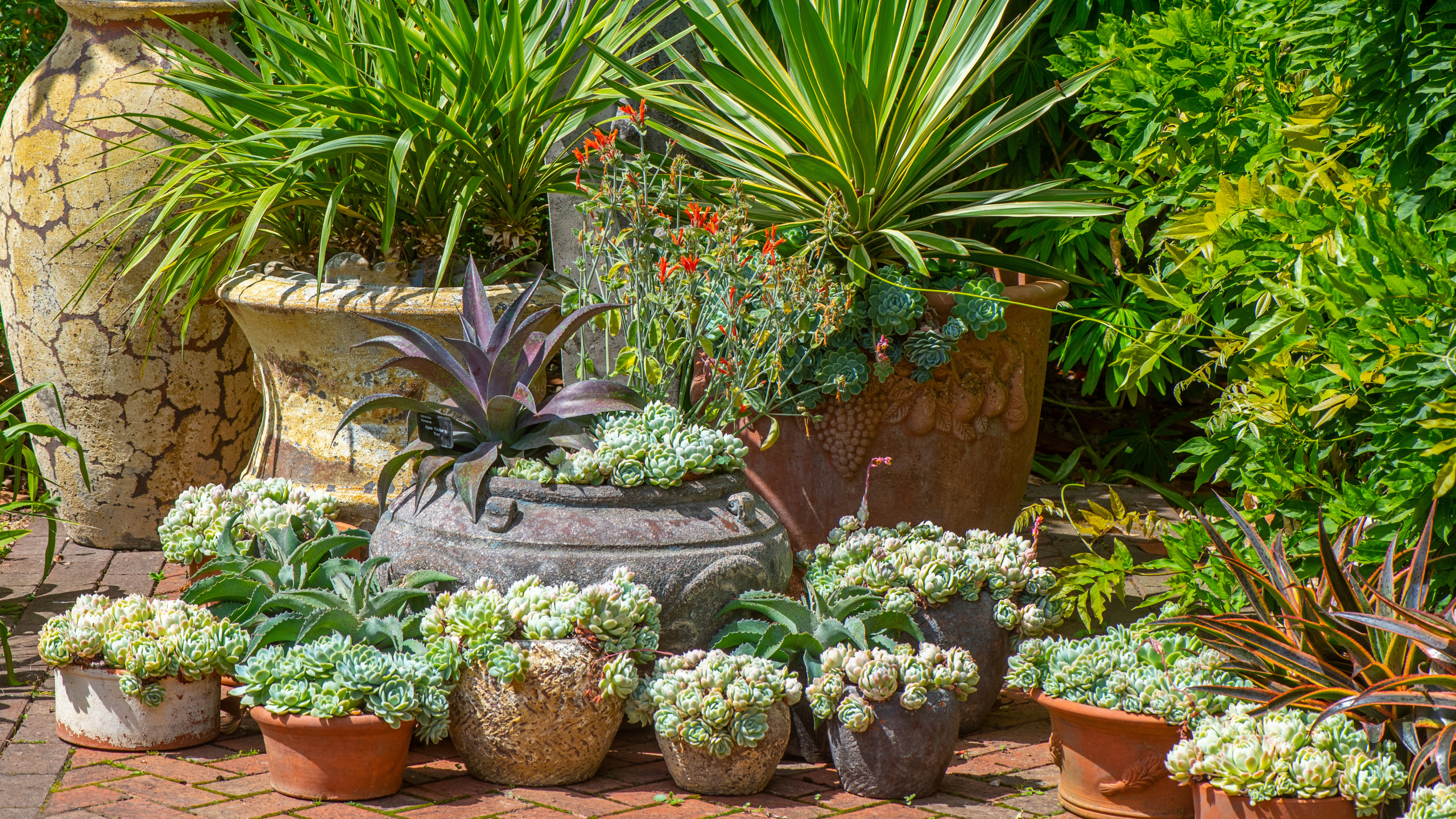 4 ways fill the bottom of a large planter | Ideal Home