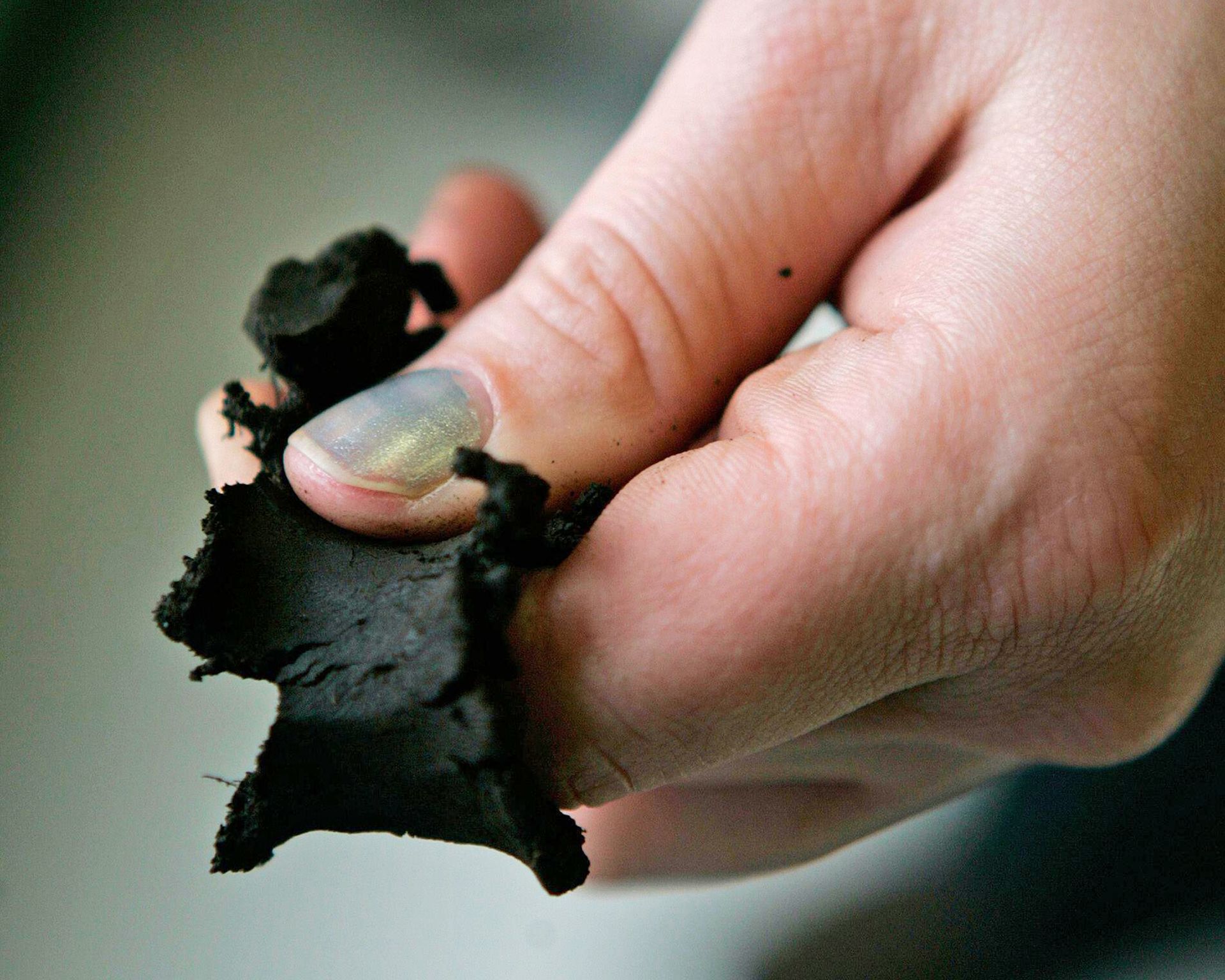 How To "Feel" Soil Is Ready To Plant – Easy Tests And Fixes | Gardening ...