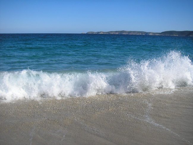 The Most Dangerous Things at the Beach | Live Science