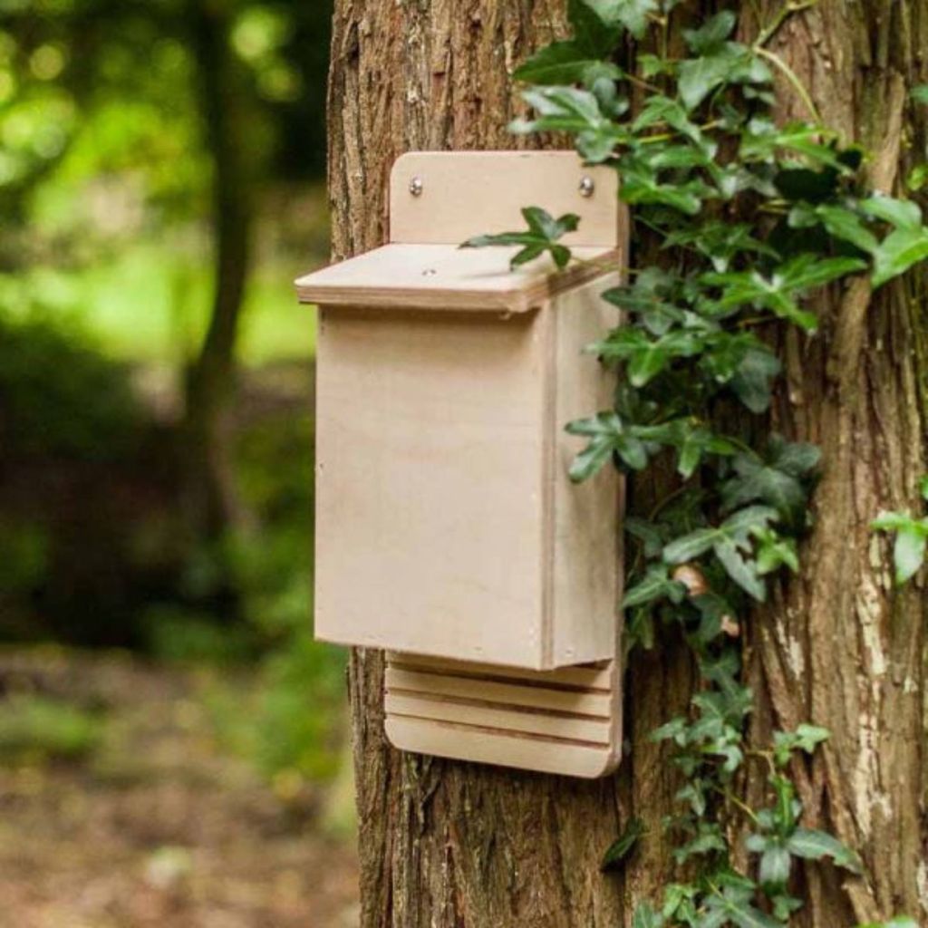 How to encourage more bats in your garden with a bat box | Ideal Home