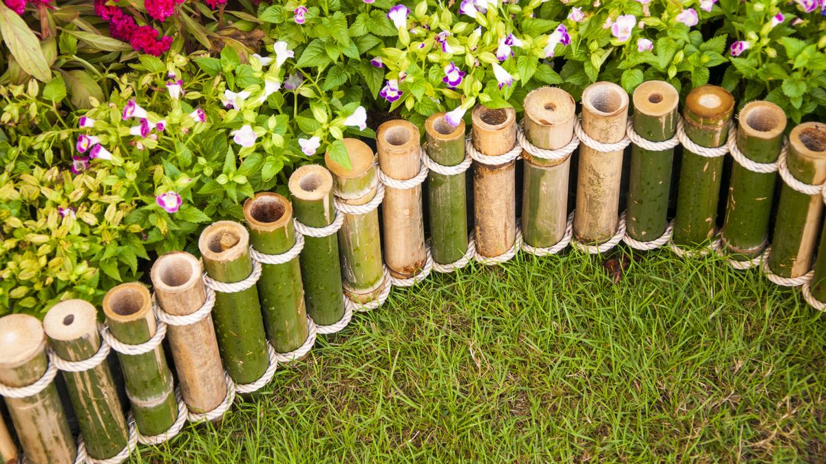 7 clever uses for bamboo in your home and garden | Tom's Guide