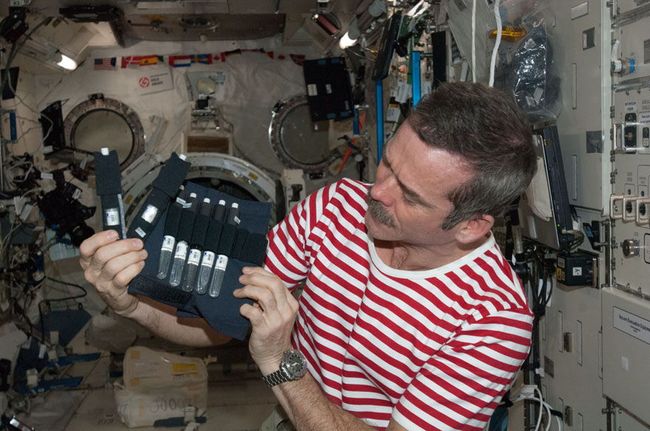 12 Highlights of Astronaut Chris Hadfield's High-Flying Career | Space