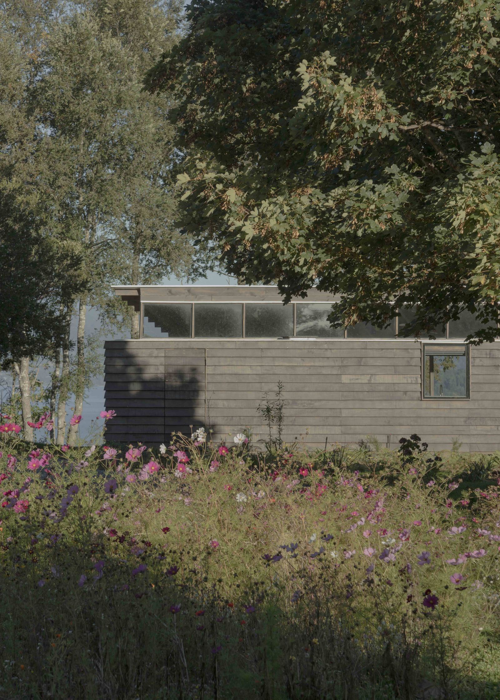 Tour a lakeside cabin in rural Chile | Wallpaper*