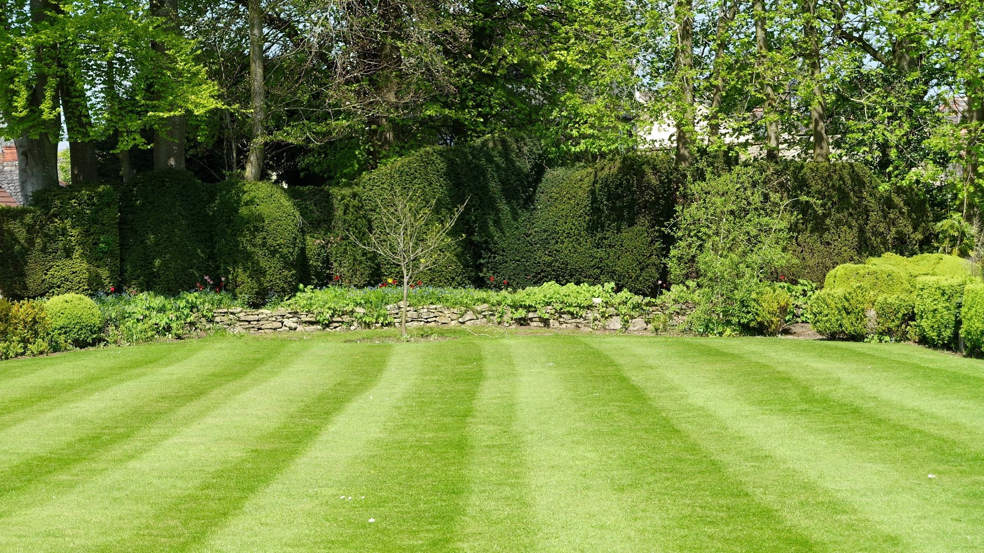 When to fertilize your lawn in fall - hint: don't do it too late ...