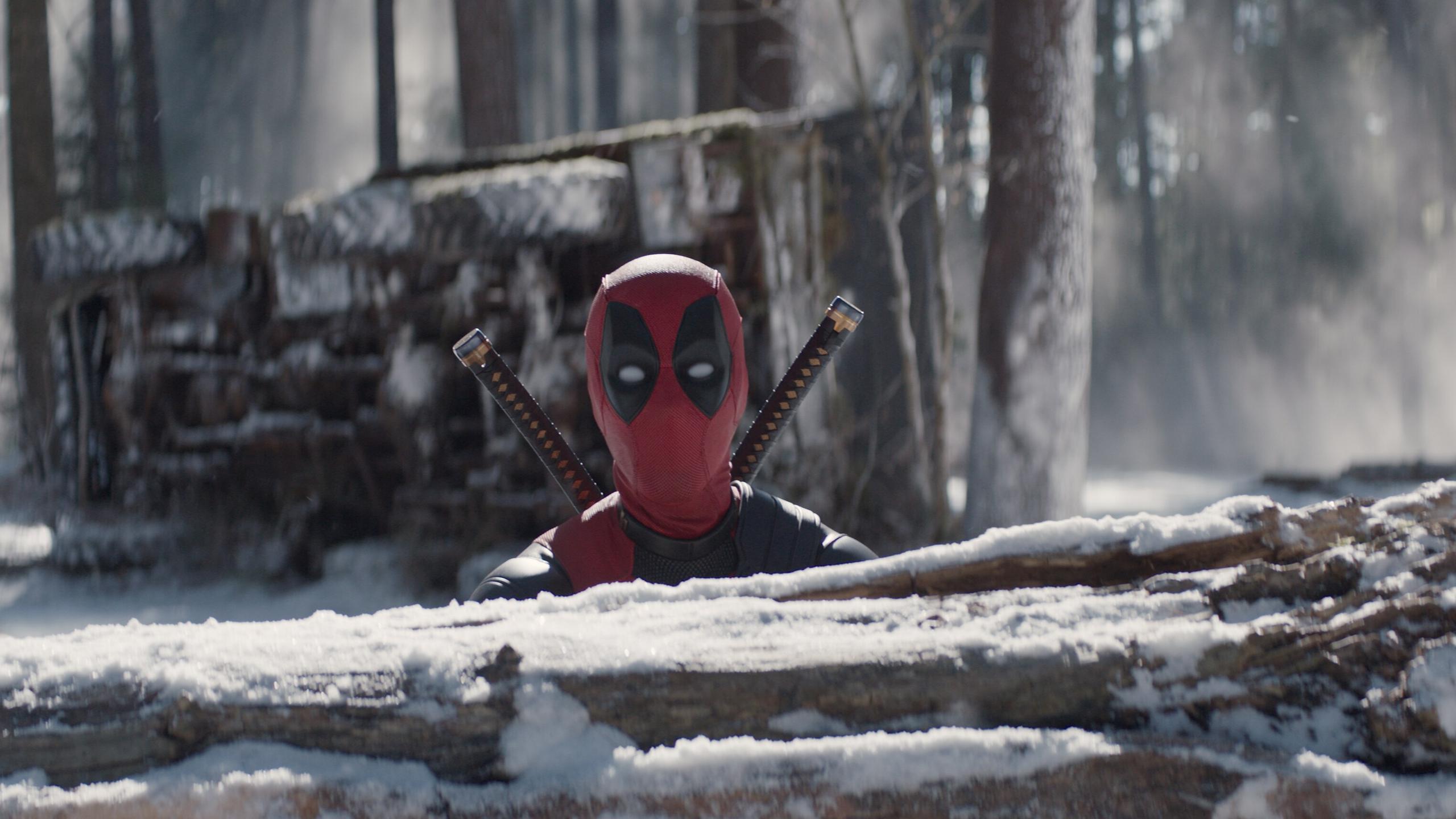 Studios Delay Moving Films to Streaming to Protect Box Office | TV Tech