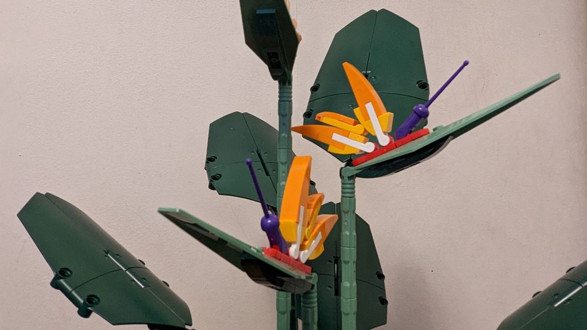 Lego Icons Bird of Paradise review | Live Science