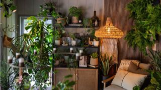 Should you water the lawn at night? Lawn care experts advise | Homes ...