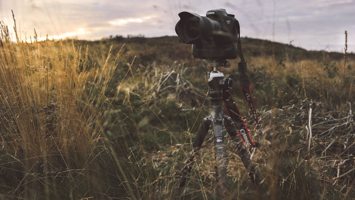 Landscapes with a difference: shoot amazing shallow scenics | Digital ...