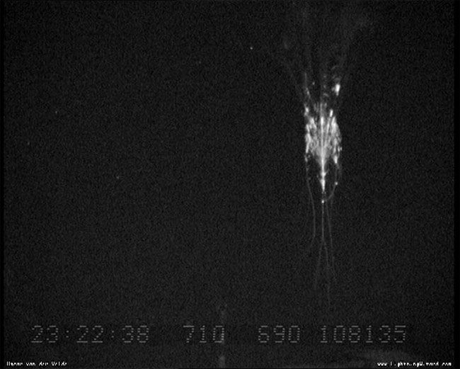 Strange Lightning Looks Like Jellyfish | Live Science