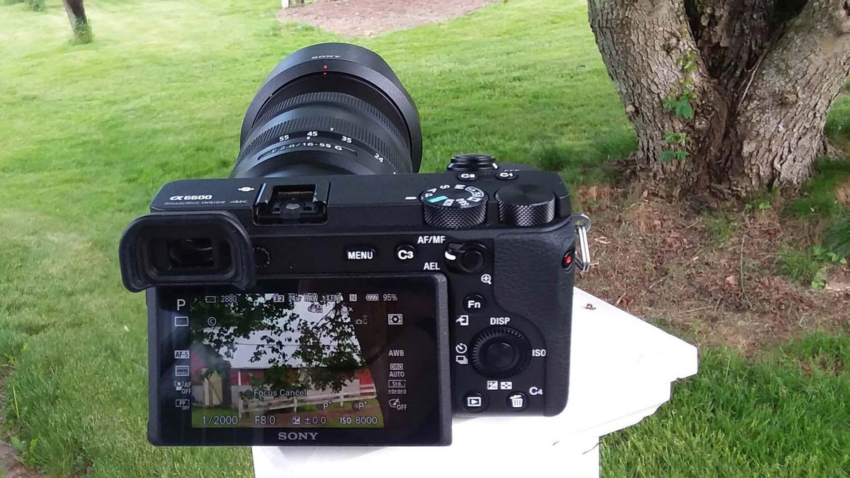 Sony Alpha a6600 review | Tom's Guide