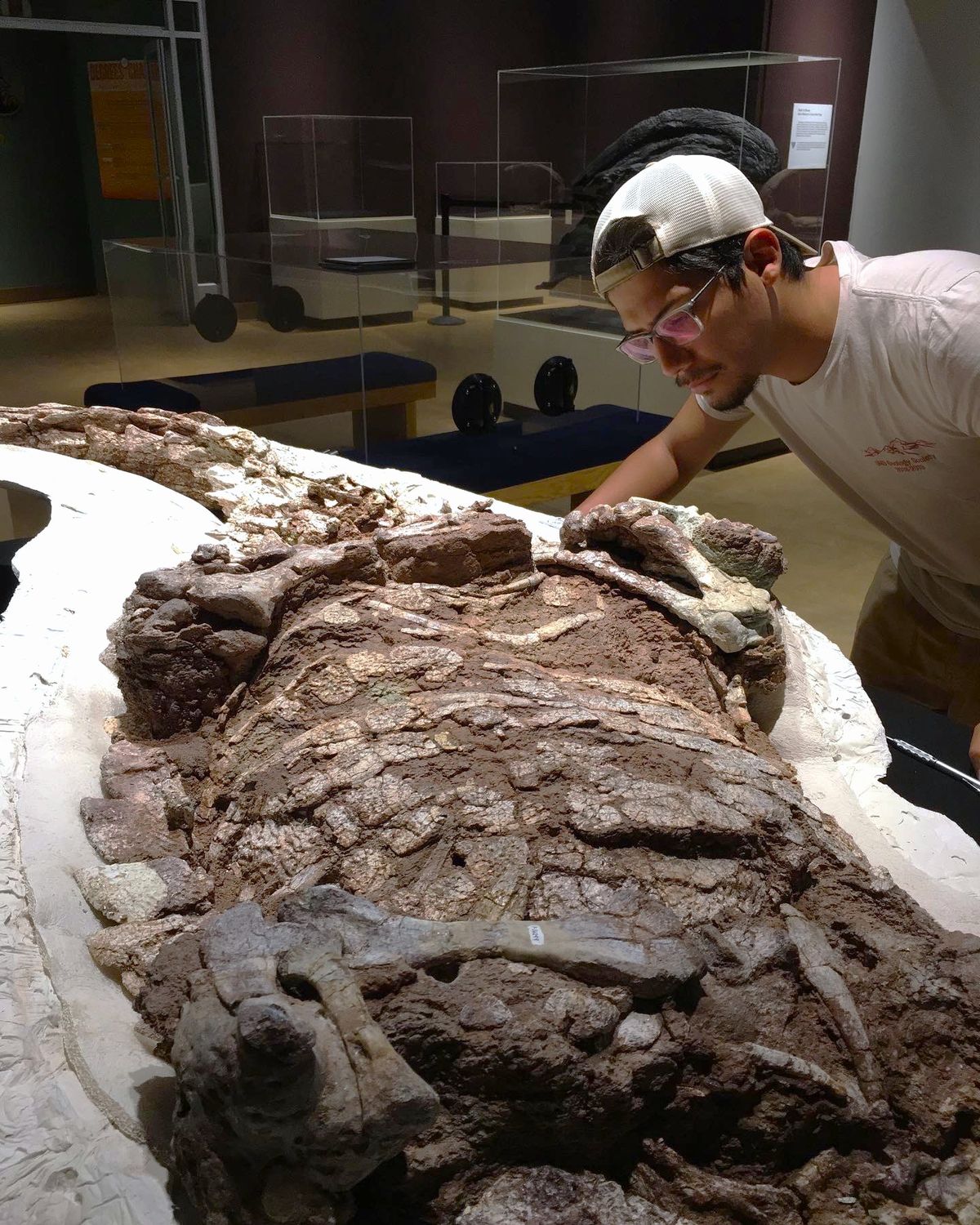 Triassic 'tank' unearthed in Texas was a croc cousin that lived 215 ...