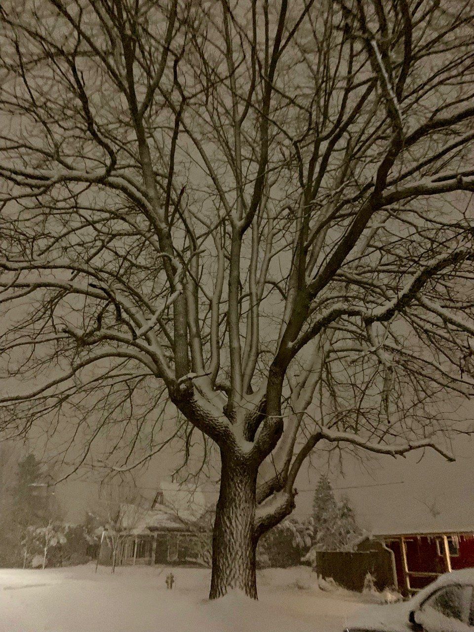 Tips and tricks for taking outdoor photos with iPhone | iMore