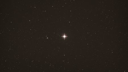 Articles by Monisha Ravisetti | Space