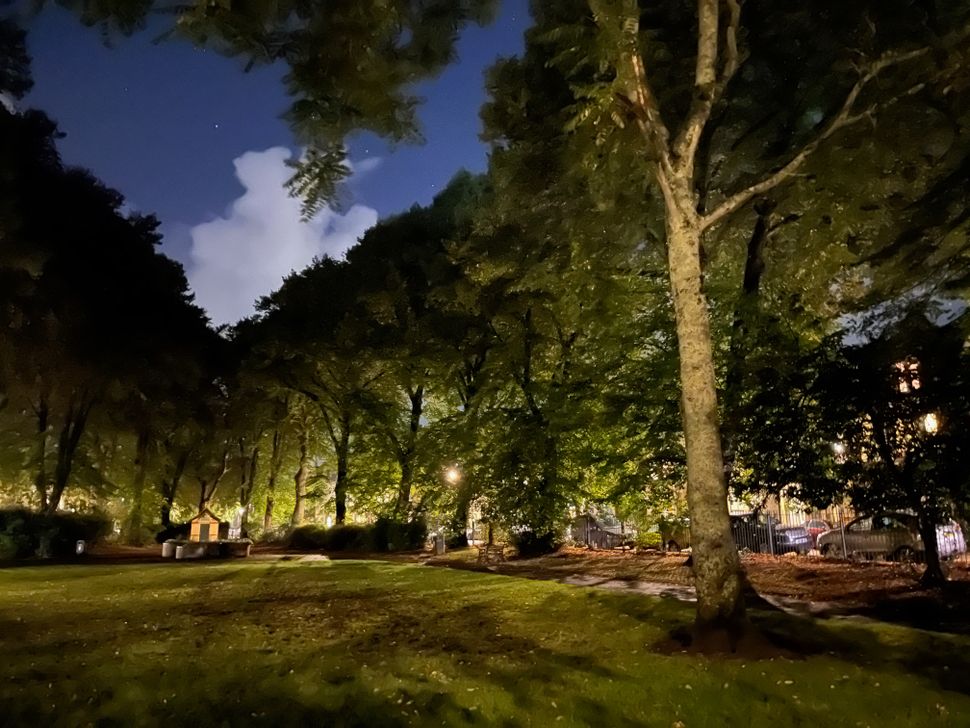 Apple iPhone 13 review | Digital Camera World