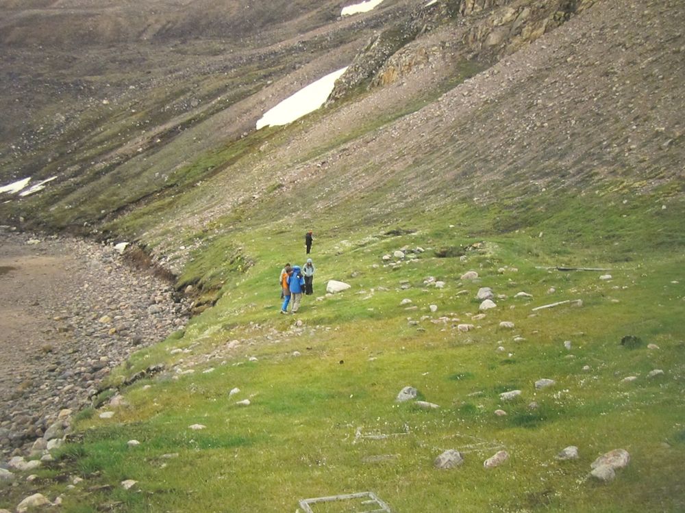 Photos: Artifacts and Specimens from the Crocker Land Expedition | Live ...