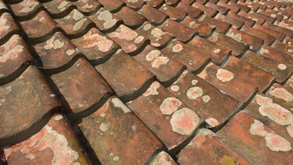 What is a Pantile Roof? Everything You Need to Know | Homebuilding