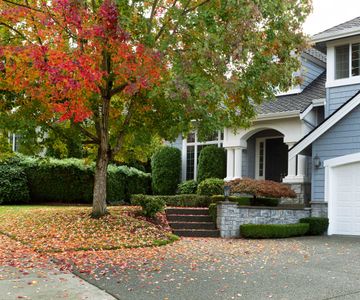 Trees to avoid planting close to a house: 8 varieties | Homes and Gardens