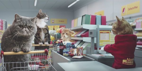 Germany Just Dropped A Cat Commercial That's Beyond Weird | Cinemablend