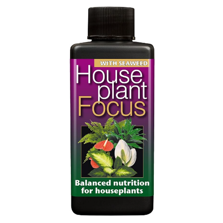 How to fertilize a peace lily and when to do it | Homes and Gardens