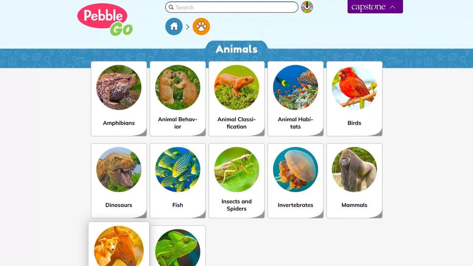 What is PebbleGo and How Can It Be Used for Teaching? Tips and Tricks ...