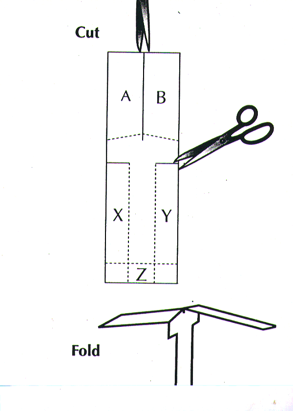 Fluids in Motion | Fun Science Experiments | Live Science