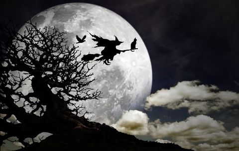 A Bewitching History: Why Witches Ride Broomsticks | Live Science