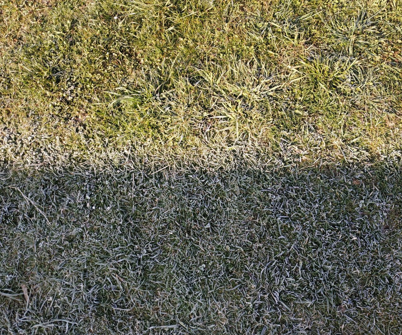 Winter lawn care mistakes to avoid for healthy grass | Homes and Gardens