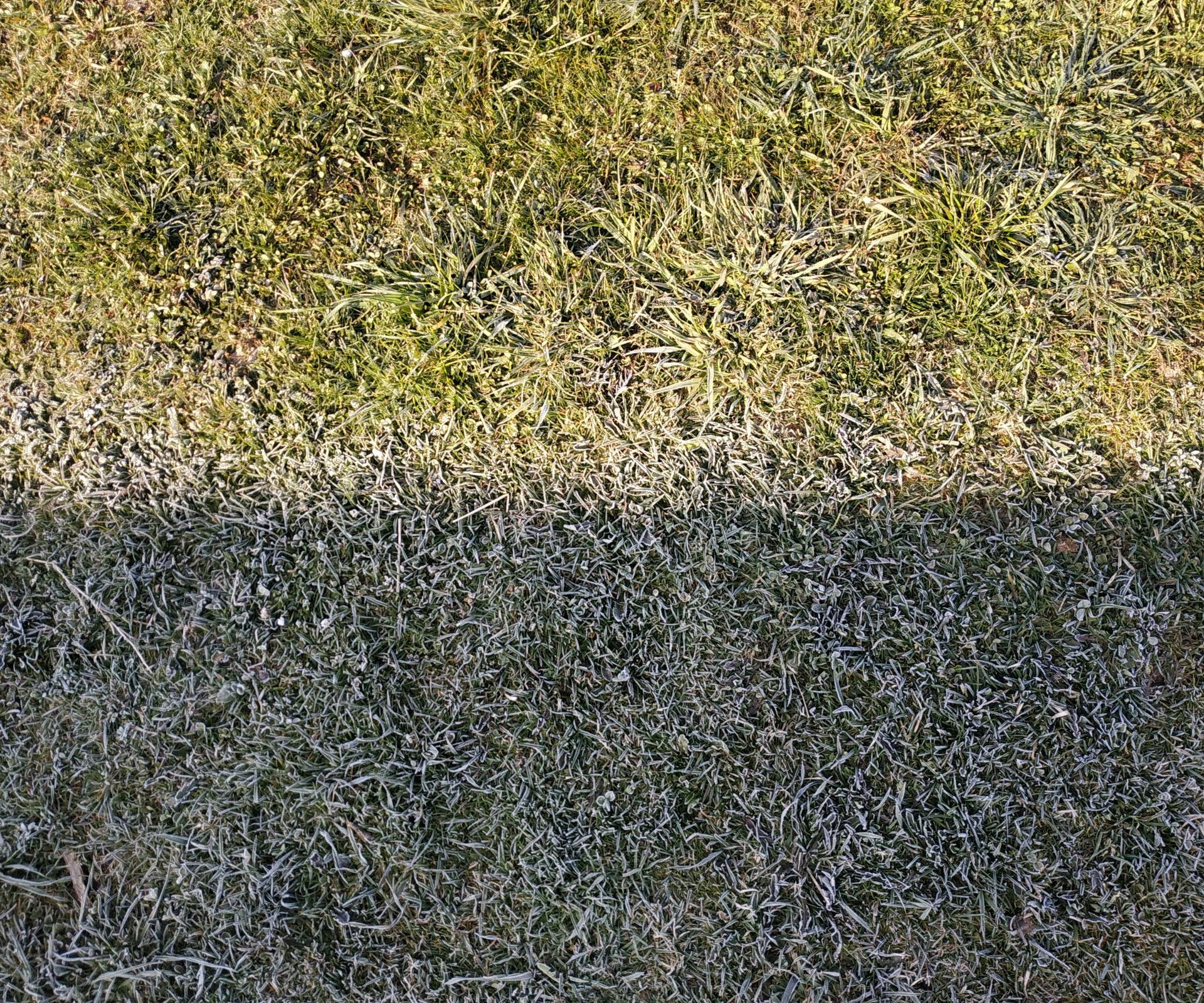 Winter lawn care: 8 steps to take to protect it | Homes and Gardens