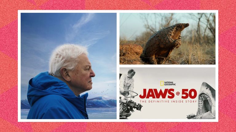 From Attenborough to Astronauts: The best documentaries of 2025 so far ...