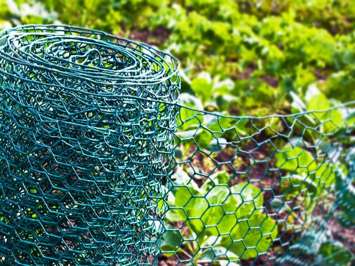 Animal-Proof Vegetable Garden Fencing | Gardening Know How