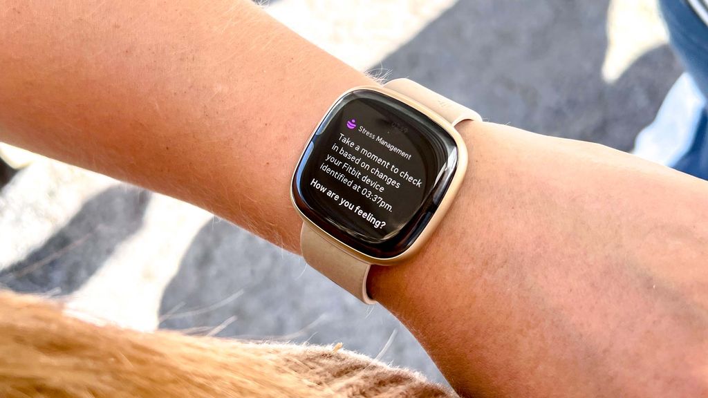 Google Pixel Watch vs. Fitbit Sense 2: Which is the right smartwatch ...