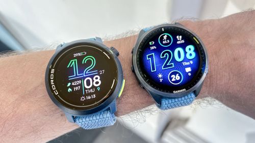 Garmin Fenix 8 47mm vs 51mm: I wore both watches for two weeks to ...