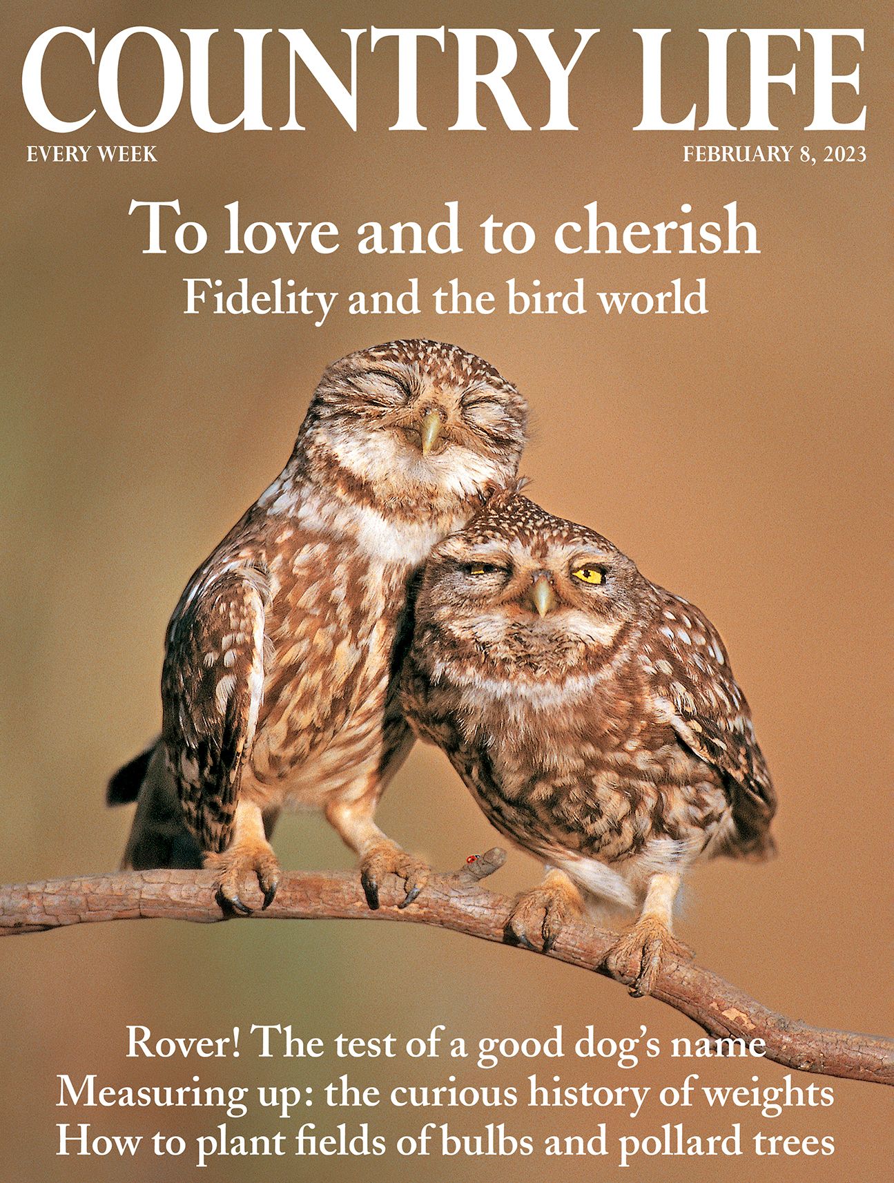 Country Life 8 February 2023 | Country Life
