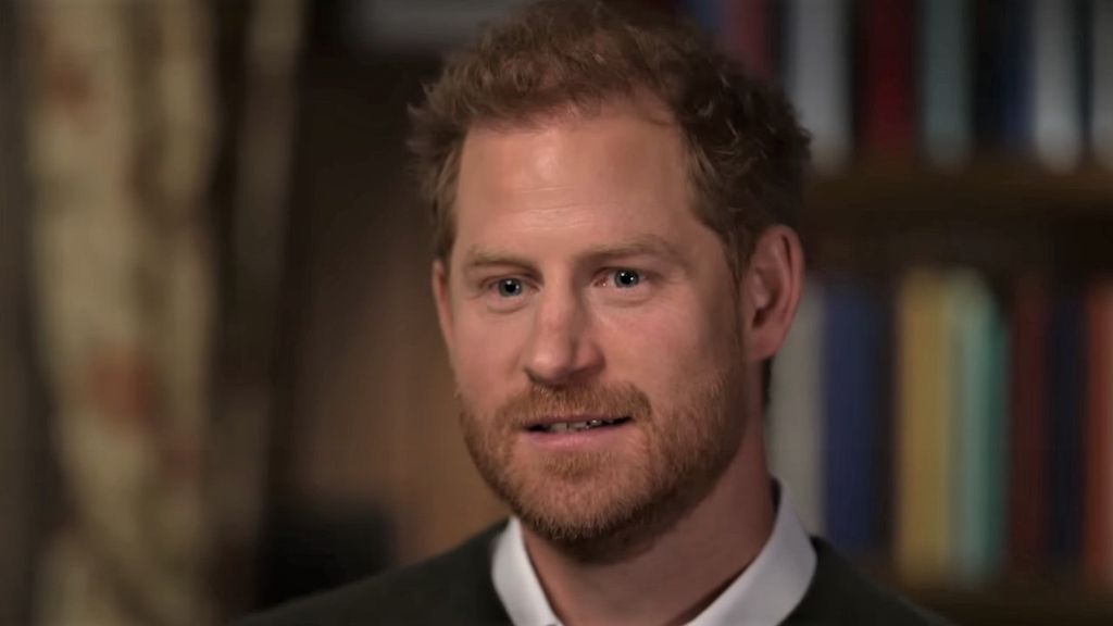 Adorable TikTok Of Prince Harry Giving A Young Woman A Cinderella ...