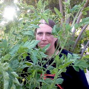 How to grow a persimmon tree in a container: expert advice