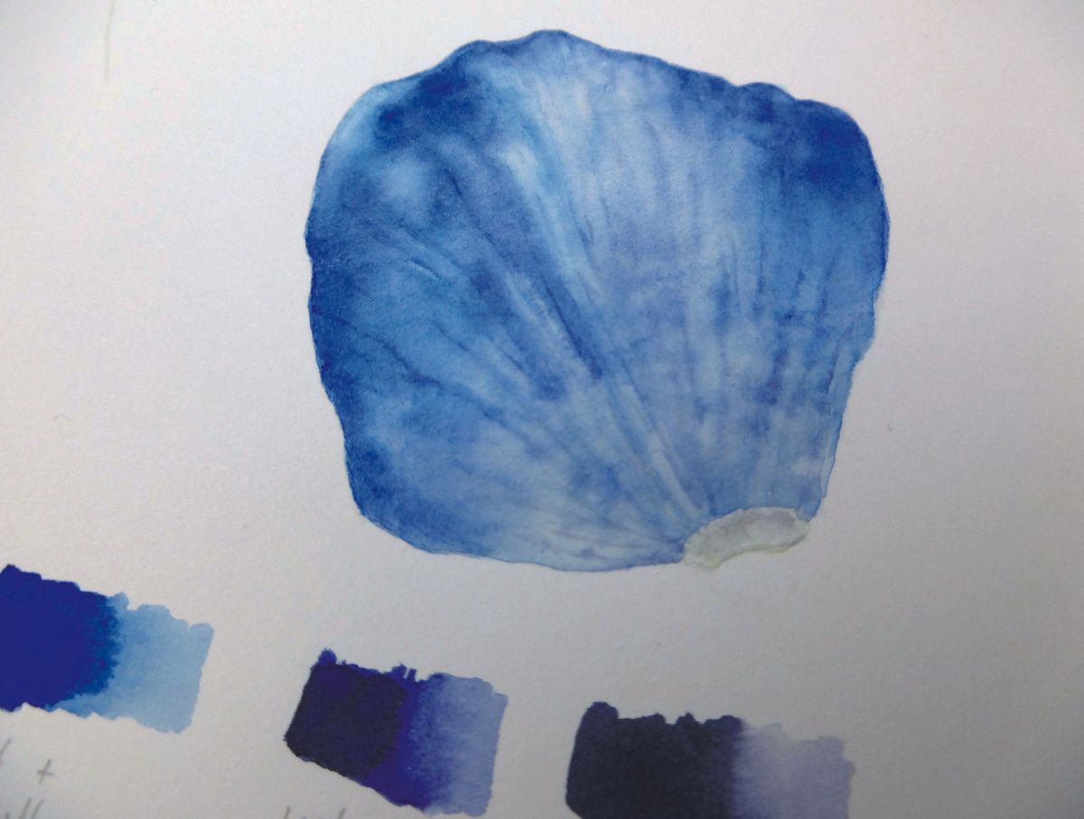 How to paint petals in watercolour | Creative Bloq